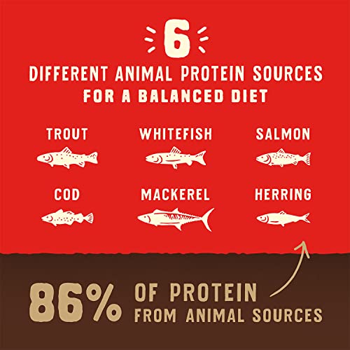 Stella & Chewy's Wild Red Dry Dog Food Raw Coated High Protein Grain & Legume Free Ocean Recipe, 3.5 lb. Bag