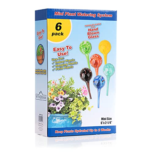 Wyndham House, 6 Piece Small Watering Globe Set, Colorful Hand-Blown Glass Plant Watering System