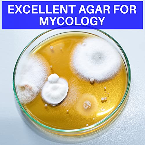 Potato Dextrose Agar Powder 100 Grams - Evviva Sciences - Makes 100-125 Premium Agar Petri Dishes - Premium Performance - Excellent for Mold & Fungus - Great for Mushrooms & Science Projects