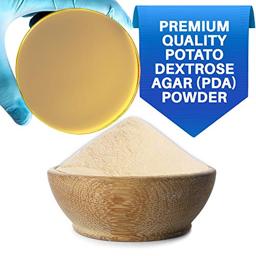 Potato Dextrose Agar Powder 100 Grams - Evviva Sciences - Makes 100-125 Premium Agar Petri Dishes - Premium Performance - Excellent for Mold & Fungus - Great for Mushrooms & Science Projects