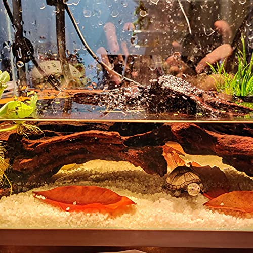 kathson Large Natural Aquarium Driftwood Reptiles Branches Terrarium Ornament Sinkable Wood Decor Trunk Fish Tank Log Habitat Decoration (12"-17")