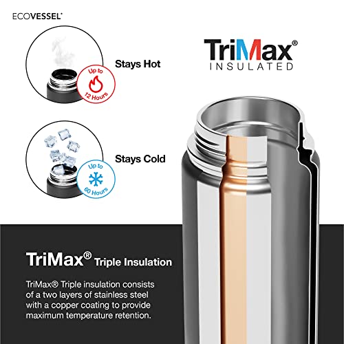 EcoVessel Stainless Steel Water Bottle with Insulated Dual Lid, Insulated Water Bottle with Strainer and Silicone Bottle Bumper, Coffee Mug – 20oz (Northern Lights)