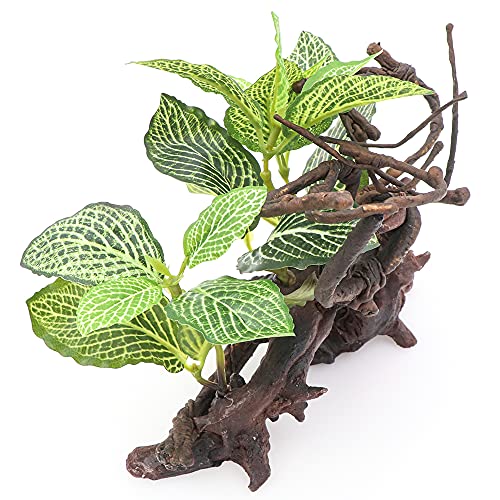 HRRIVE Reptile Rain Forest Ground Plants Decorations for Lizard Snake Bearded Dragon Crested Gecko Amphibian and Terrarium Habitat Decor