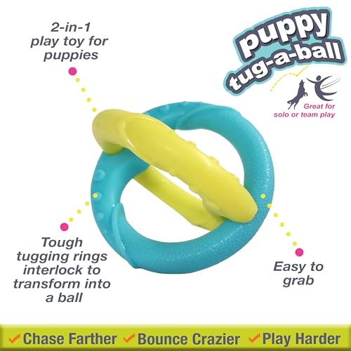 Nylabone Power Play Puppy Tug-a-Ball - Puppy Tug Toy - Interactive Puppy Enrichment Toys - Puppy Must Haves (1 Count)