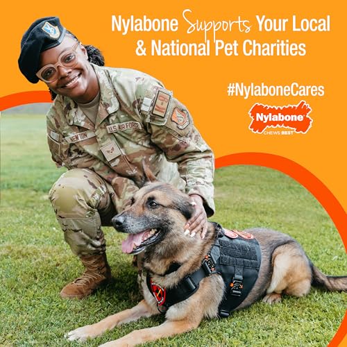 Nylabone Power Play Puppy Tug-a-Ball - Puppy Tug Toy - Interactive Puppy Enrichment Toys - Puppy Must Haves (1 Count)