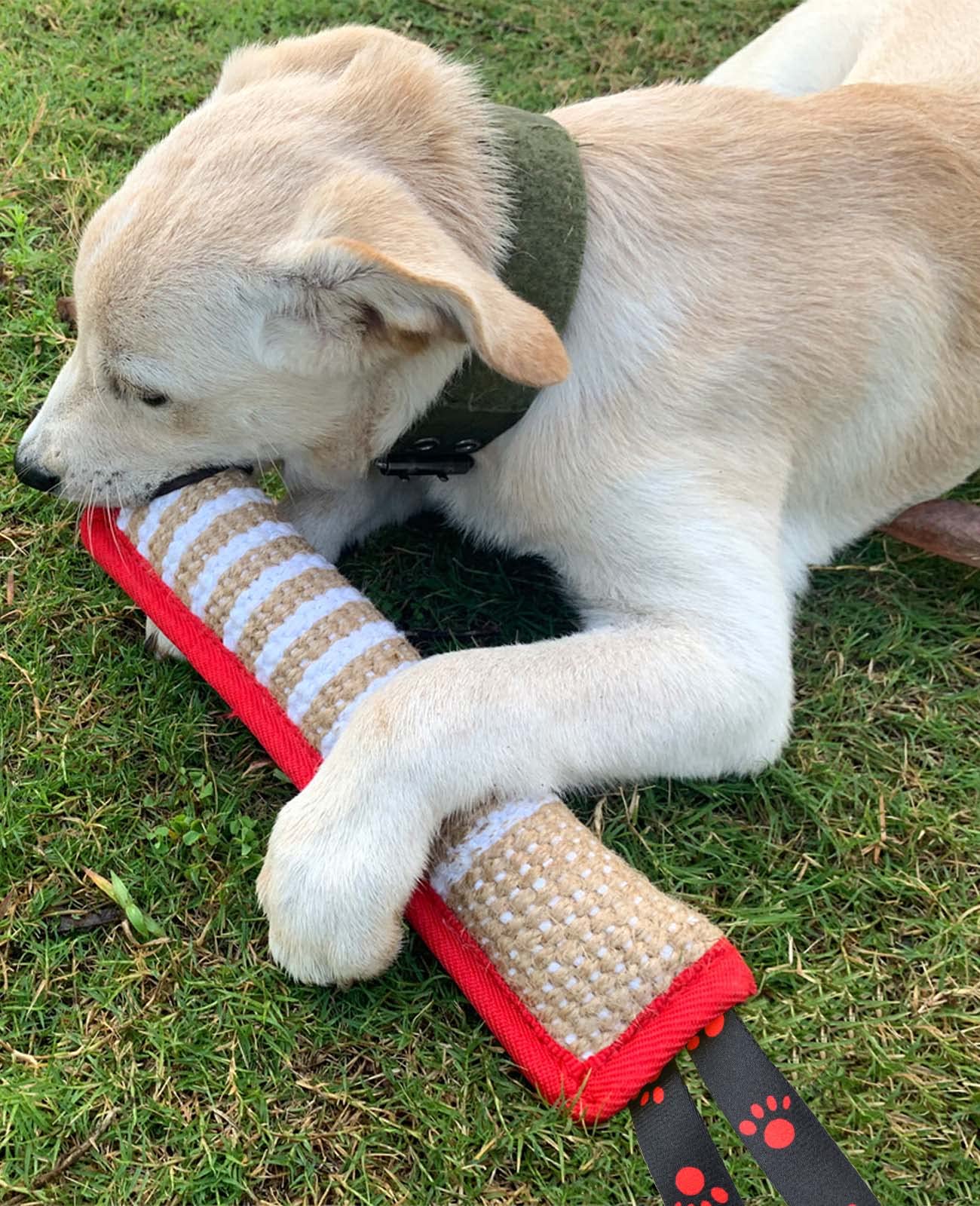 Clysoru Dog Tug Toy Dog Tough Jute Bite Pillow - Durable Training Equipment - Puppy to Large Dogs Interactive Toy.