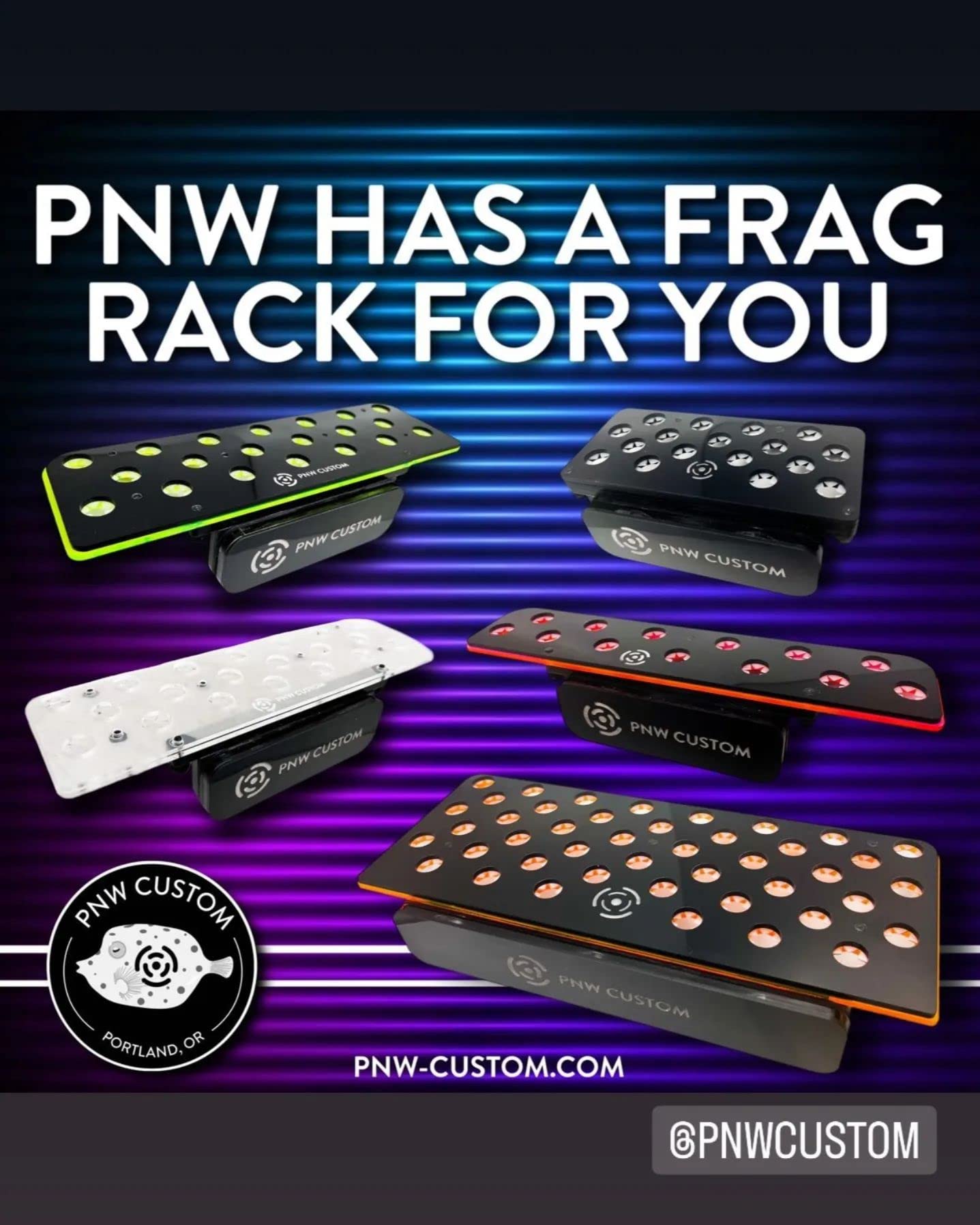 PNW Custom Large Slimline Black 13 Hole Magnetic Frag Rack w/Frag Lock | Acrylic Plugs Reef Coral Frag Holder for Aquarium (3/4" Glass Magnets)