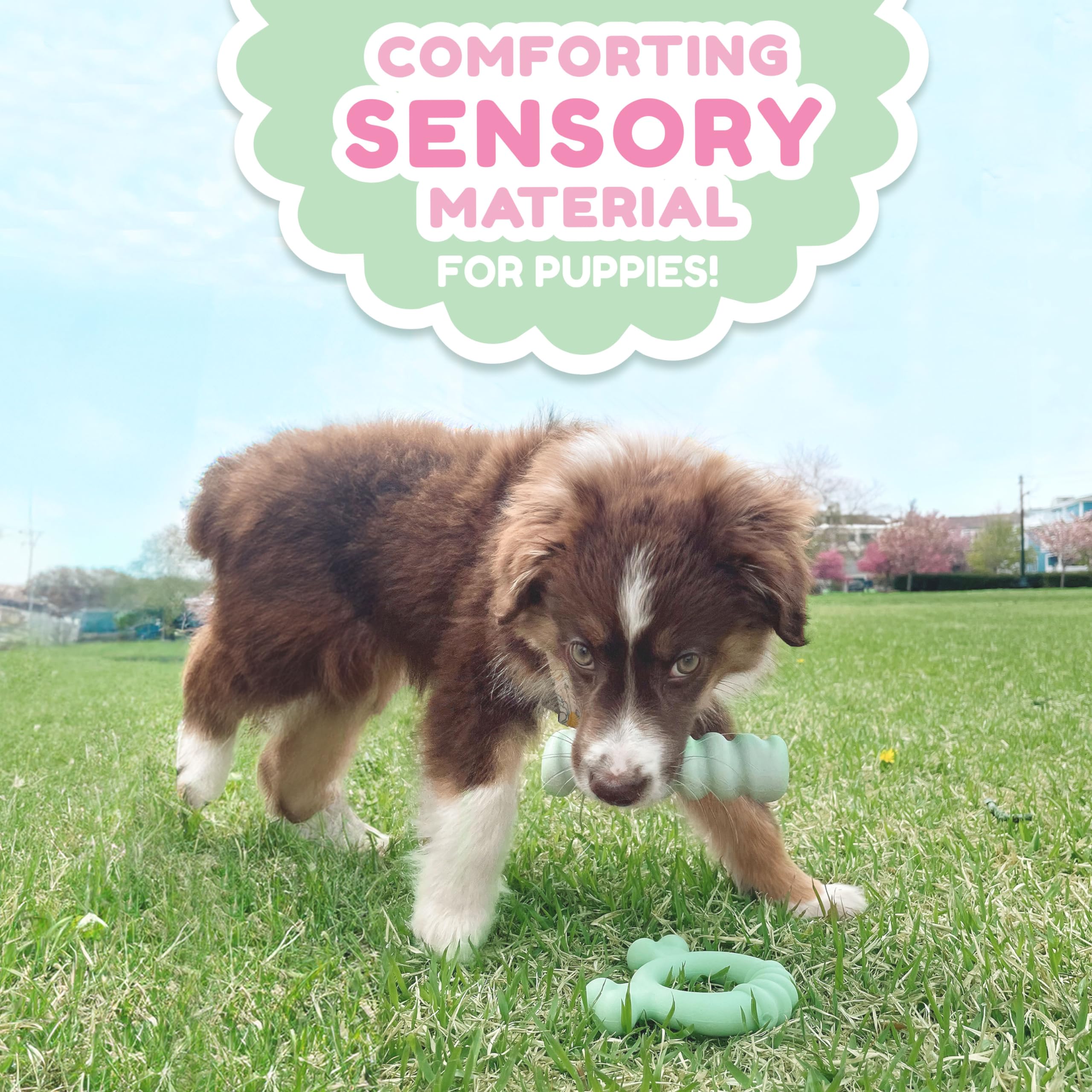 Nylabone Sensory Material Puppy Chew Toy Ring, Toys for Teething Puppies, Chicken Flavor, Small - Up to 25 lbs, 1 Count