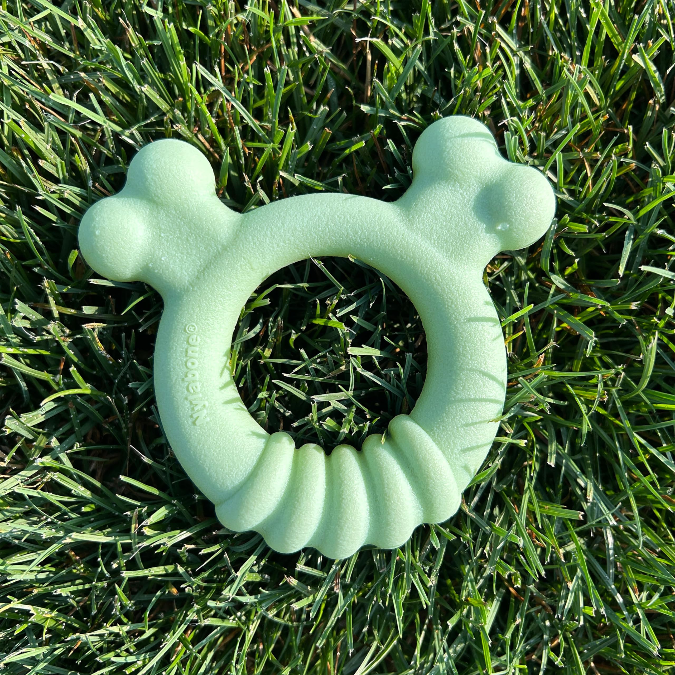 Nylabone Sensory Material Puppy Chew Toy Ring, Toys for Teething Puppies, Chicken Flavor, Small - Up to 25 lbs, 1 Count