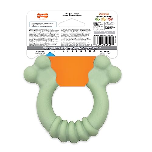 Nylabone Sensory Material Puppy Chew Toy Ring, Toys for Teething Puppies, Chicken Flavor, Small - Up to 25 lbs, 1 Count