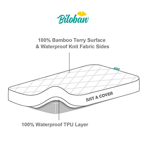 Waterproof Bassinet Mattress Pad Cover, Fits 20.5" x 35" Dream On Me Traveler/Seashell, AMKE 3 in 1, Besrey, TCBunny, Baby Joy, Bellababy Bedside Sleeper, 2 Pack, Ultra Soft Bamboo Terry Surface
