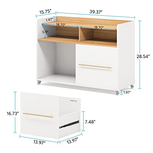 LITTLE TREE 2 Drawer File Cabinet Rolling Filing Cabinets with Wheels, Lateral File Cabinet for Letter Size, Printer Stand and Open Storage Shelves for Home Office, White