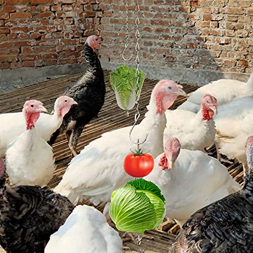 Chicken Veggies Skewer Fruit Holder for Hens Pet Chicken Vegetable Hanging Feeder Toy for Hens Large Birds(2pcs)