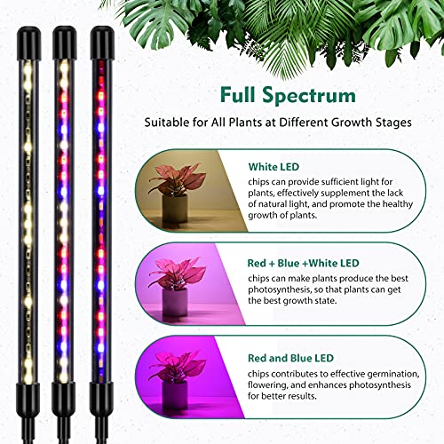 AMBOR Grow Lights for Indoor Plants with Stand, [5-Heads] Floor Plant Light, 150W Full Spectrum LED Plant Grow Lamp with 4 8 12H Timer, 10 Dimmable Brightness, Remote Control and Auto ON/Off