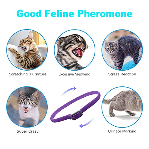 Pets4Luv Calming Collar for Cats - Pheromone Calm Collars, Anxiety Relief Fits Small Medium and Large Cat - New Version - Adjustable and Waterproof with 100% Natural 2 Pack