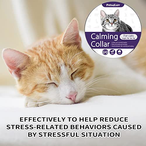 Pets4Luv Calming Collar for Cats - Pheromone Calm Collars, Anxiety Relief Fits Small Medium and Large Cat - New Version - Adjustable and Waterproof with 100% Natural 2 Pack