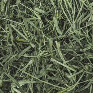 PremiYum Standlee Western Timothy Grass Hay Small Animal Food for Rabbits, Guinea Pigs, and Chinchillas, 20 lb. Box