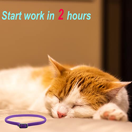 Pets4Luv Calming Collar for Cats - Pheromone Calm Collars, Anxiety Relief Fits Small Medium and Large Cat - New Version - Adjustable and Waterproof with 100% Natural 2 Pack