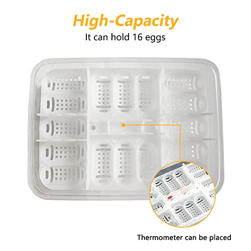 JOBEDE 16 Grids Reptile Breeding Box, Reptile Egg Incubator Professional Plastic Reptile Breeding Box Hatching Box Case Tray for Hatching Gecko Lizards Lions Mane Without Thermometer