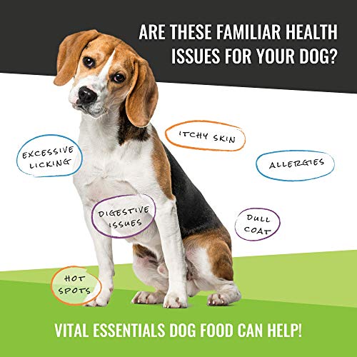Vital Essentials Freeze Dried Dog Food, Beef Nibblets 16 oz