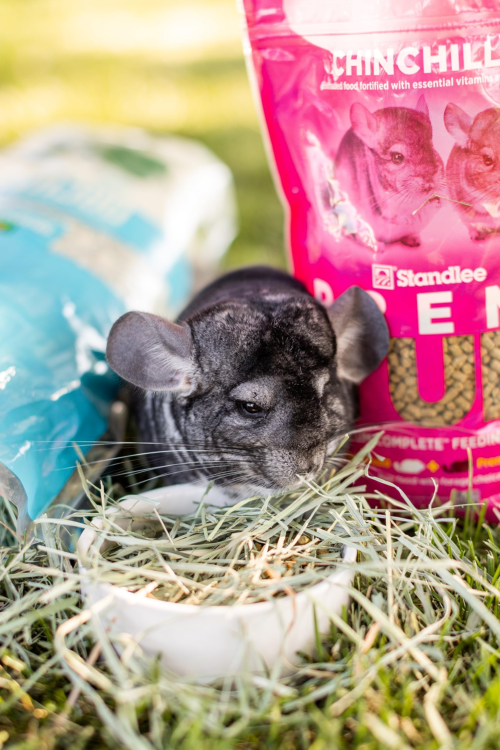 PremiYum Standlee Western Orchard Grass Hay Small Animal Food for Rabbits, Guinea Pigs, and Chinchillas, 9 lb. Box
