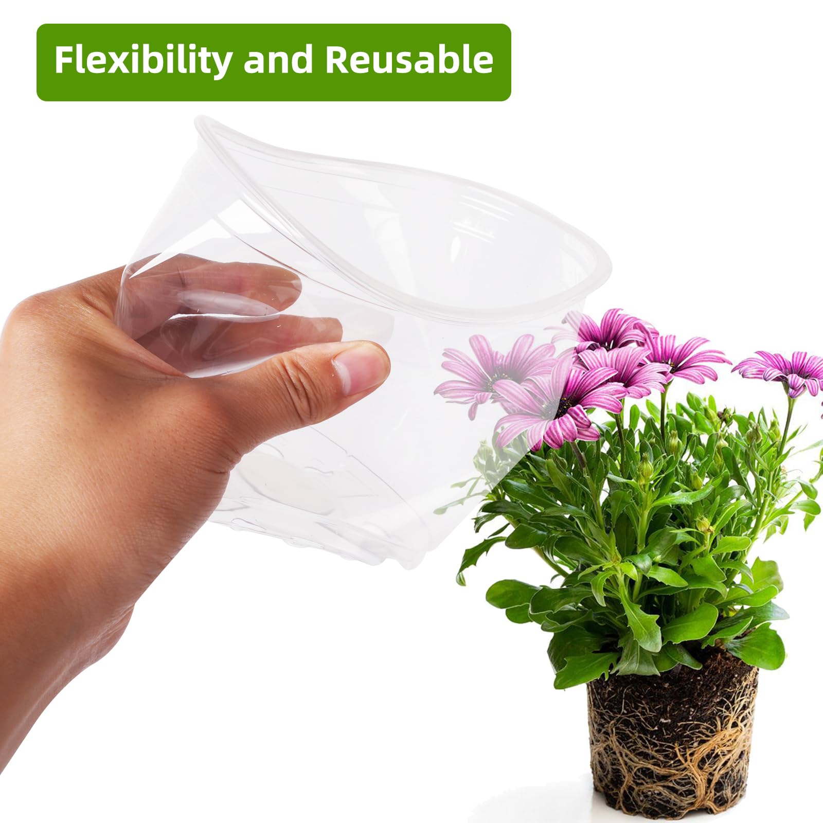Oubest 50Pcs Clear Nursery Pots Variety Pack Plastic Pots for Plants Orchid Potting 3.5 5 6 Inch Mix Seedling Pots with Drainage Holes Indoor Outdoor Flower Pots