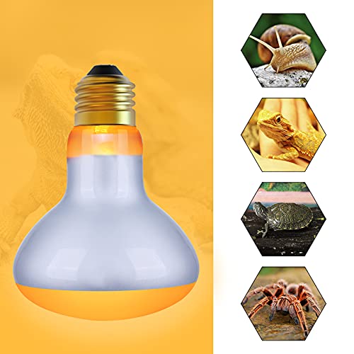 Infrared Heat lamp Basking Spot Light Bulb,LEDESIGN 75 Watt White Heat Lamp Bulbs for Reptiles and Amphibian Use, 2 Packs (White)