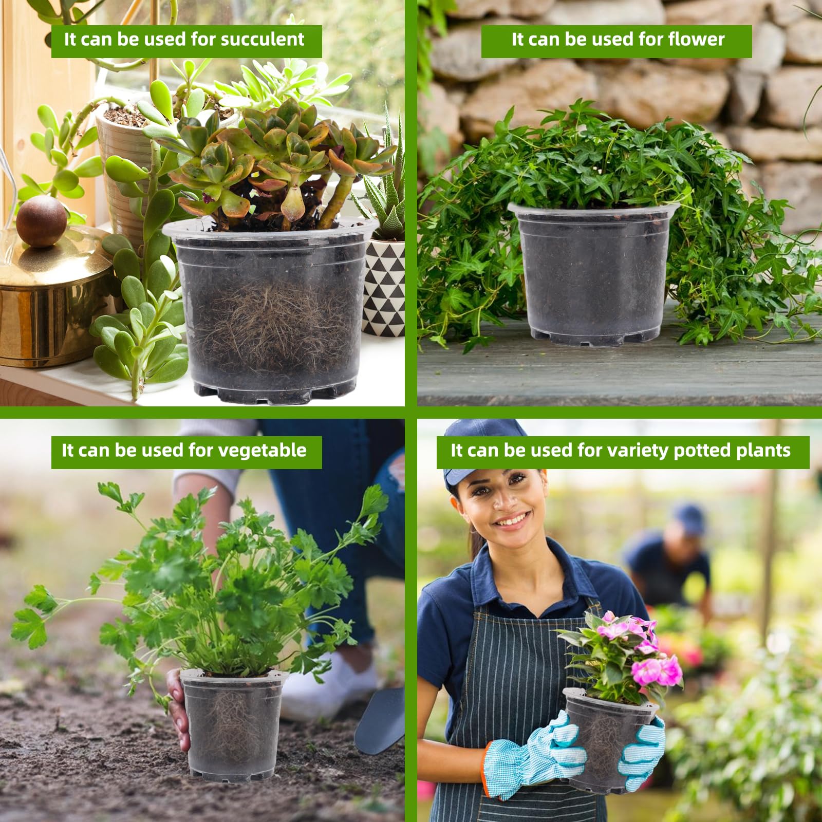 Oubest 50Pcs Clear Nursery Pots Variety Pack Plastic Pots for Plants Orchid Potting 3.5 5 6 Inch Mix Seedling Pots with Drainage Holes Indoor Outdoor Flower Pots