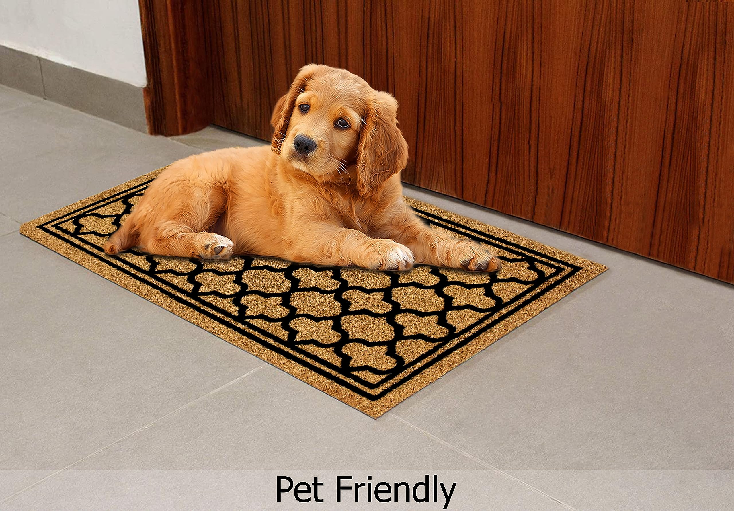 IRONGATE Welcome Doormat - Non Slip Dirt Trapping Chevron Tile Print Coco Coir Door Mat - Low Profile Front Doormat - Indoor Outdoor Durable Easy Clean High Traffic Area Patio Entryway Doormat -17x30