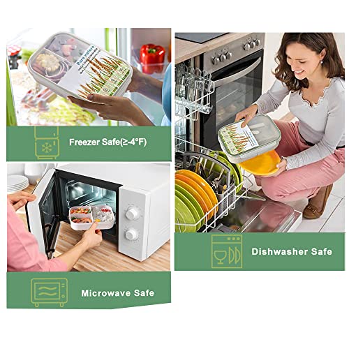bacxigo Bento Box, Bento lunch Box for Kids and Adults, Lunch Container with Fork and Spoon, Leak Proof Lunch Box, Microwave and Dishwasher Safe Bento Boxes,Mom’s Choice Kids Lunch Box