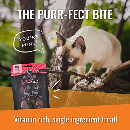 Vital Essentials Freeze Dried Cat Food, Chicken Dinner Patties 8 oz