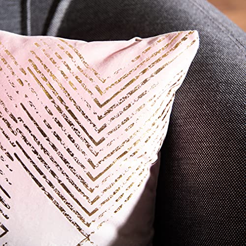 Safavieh Home Collection Sarla Art Deco 12 x 20-inch Blush/Gold Decorative Accent Pillow PLS7144B-1220, 12"x22"