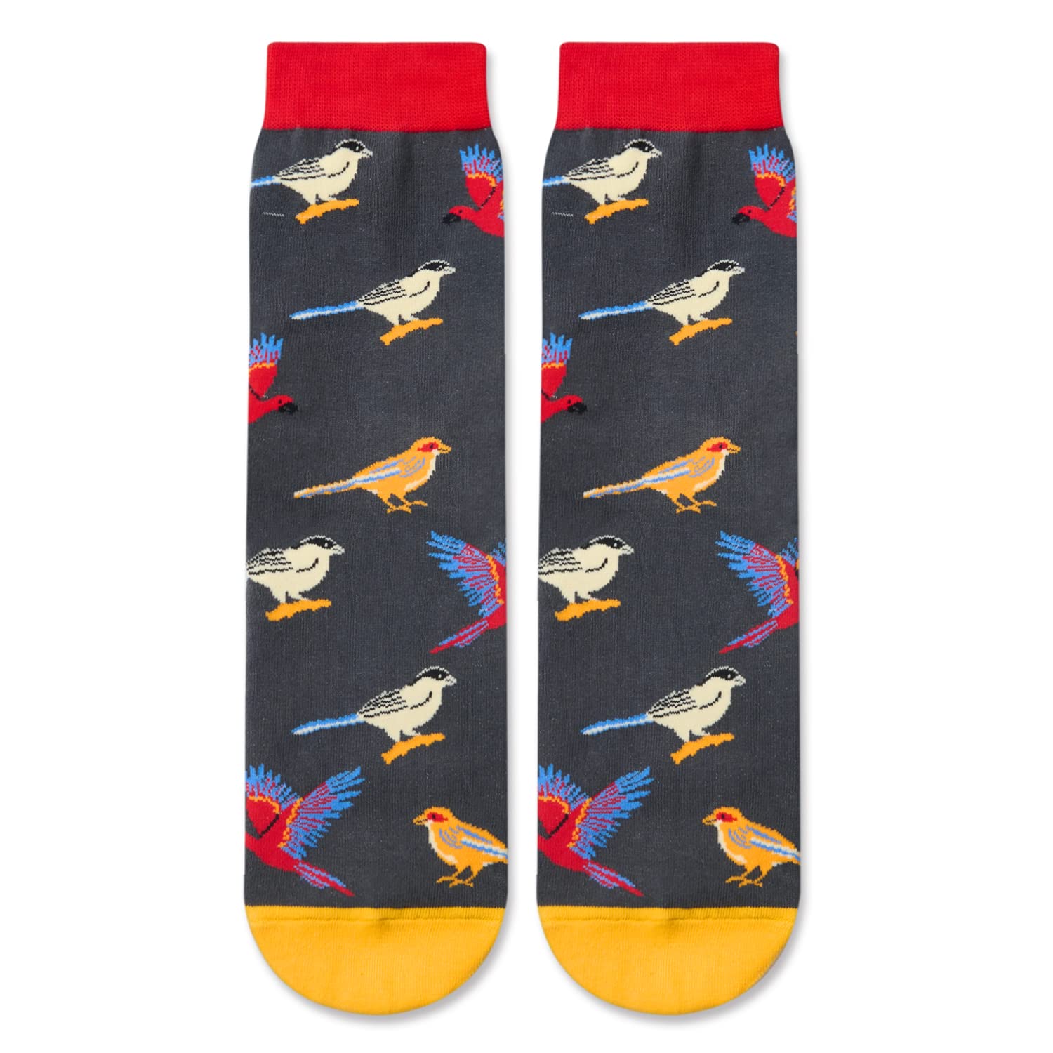 HAPPYPOP Funny Socks for Men Teens - Bird Gifts for Women, Birder Gifts Bird Socks Bird Stocking