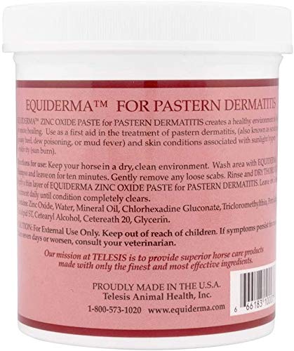 EQUIDERMA (2 Pack) Horse Skin Lotion and Zinc Oxide Paste 16oz with 10ct pet Wipes