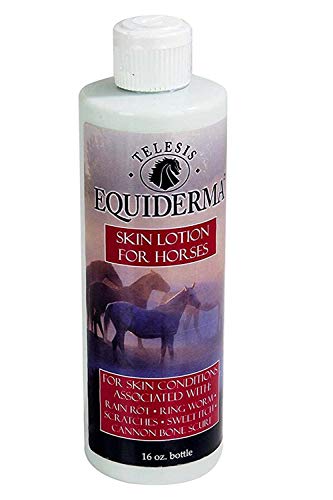 EQUIDERMA (2 Pack) Horse Skin Lotion and Zinc Oxide Paste 16oz with 10ct pet Wipes