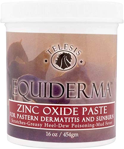 EQUIDERMA (2 Pack) Horse Skin Lotion and Zinc Oxide Paste 16oz with 10ct pet Wipes