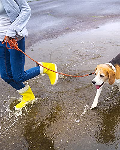 Long Dog Leash for Dog Training 10FT/16FT/30FT/50FT/100FT, Reflective Threads Check Cord Dog Leash, Heavy Duty Dog Lead for Large Medium Small Dogs Outside Walking, Playing, Camping, or Yard