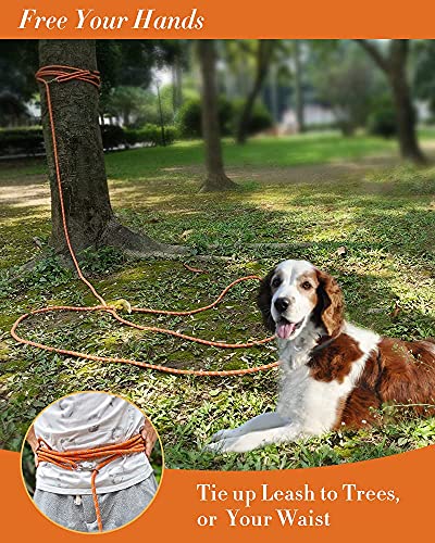 Long Dog Leash for Dog Training 10FT/16FT/30FT/50FT/100FT, Reflective Threads Check Cord Dog Leash, Heavy Duty Dog Lead for Large Medium Small Dogs Outside Walking, Playing, Camping, or Yard
