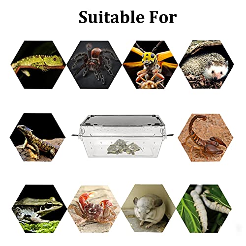 PINVNBY Reptile Feeding Box Transparent Snake Breeding Box Plastic Lizard Hatching Container Portable Gecko Habitat for Spiders Scorpions Frogs Tarantulas Turtles Hideout 9.4×4.1×3.9