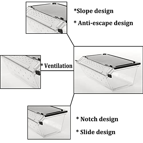 PINVNBY Reptile Feeding Box Transparent Snake Breeding Box Plastic Lizard Hatching Container Portable Gecko Habitat for Spiders Scorpions Frogs Tarantulas Turtles Hideout 9.4×4.1×3.9