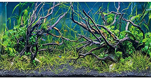AWERT 36x18 inches Tropical Fish Tank Background River Bed & Lake Aquatic Plant Undersea Tree Branch Aquarium Background Vinyl