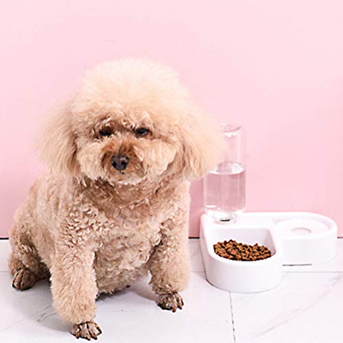 Creative Corner Shape Pet Feeder Bowl Plastic Double Bowls with 500ml Automatic Water Dispenser Bottle Anti- Slid Feeder Household Pet Supplies ( White )