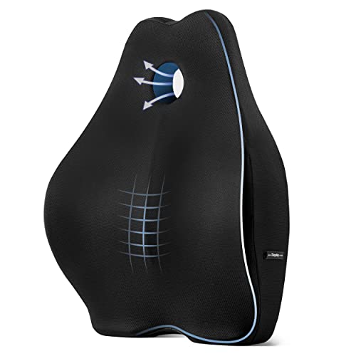 Okayday Ergonomic Lumbar Support Pillow for Office Chair Car Seat Orthopedic Memory Foam Back Cushion with Breathable Mesh Cover, Relieve Back Pain & Improve Posture, Spinal Alignment (Black)