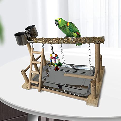 PINVNBY Bird Playground Birdcage Playstand Pet Bird Perch Platform Stand Parrot Play Gym Parakeet Cage Decor Budgie Perch Stand with Feeder Seed Cups Ladder Chew Toys for Small Animals Parrot Parakeet