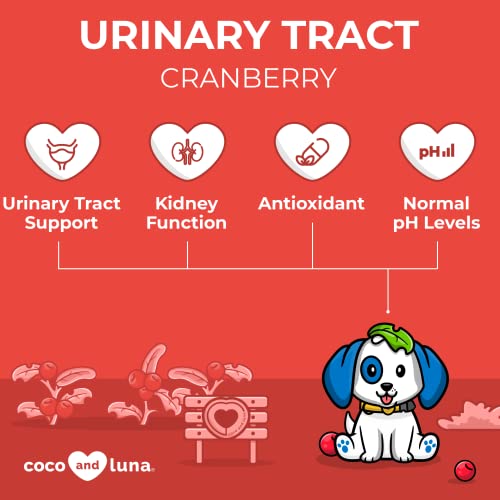 Cranberry for Dogs - 300 Chewable Tablets - Urinary Tract Support, Bladder Support for Dogs, Dog UTI, Bladder Stones, Dog Incontinence Support, Cranberry Supplement for Dogs