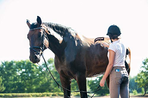 Horse Grooming Kit (10-Piece) with Tote,Horse Cleaning Tool Set with Assorted Hair and Curry Comb, Hoof Pick Sweat Scraper,Grooming Scissors,Portable Black Storage Bag,Riding Equipment for Beginners
