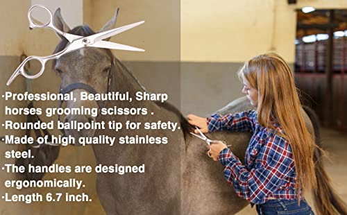 Horse Grooming Kit (10-Piece) with Tote,Horse Cleaning Tool Set with Assorted Hair and Curry Comb, Hoof Pick Sweat Scraper,Grooming Scissors,Portable Black Storage Bag,Riding Equipment for Beginners