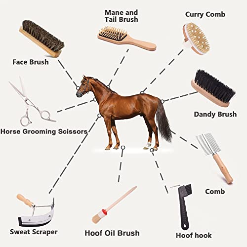 Horse Grooming Kit (10-Piece) with Tote,Horse Cleaning Tool Set with Assorted Hair and Curry Comb, Hoof Pick Sweat Scraper,Grooming Scissors,Portable Black Storage Bag,Riding Equipment for Beginners