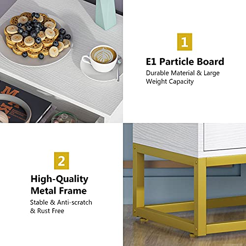 2 Drawer Nightstand, White and Gold NightStands for Bedrooms Modern Side Table