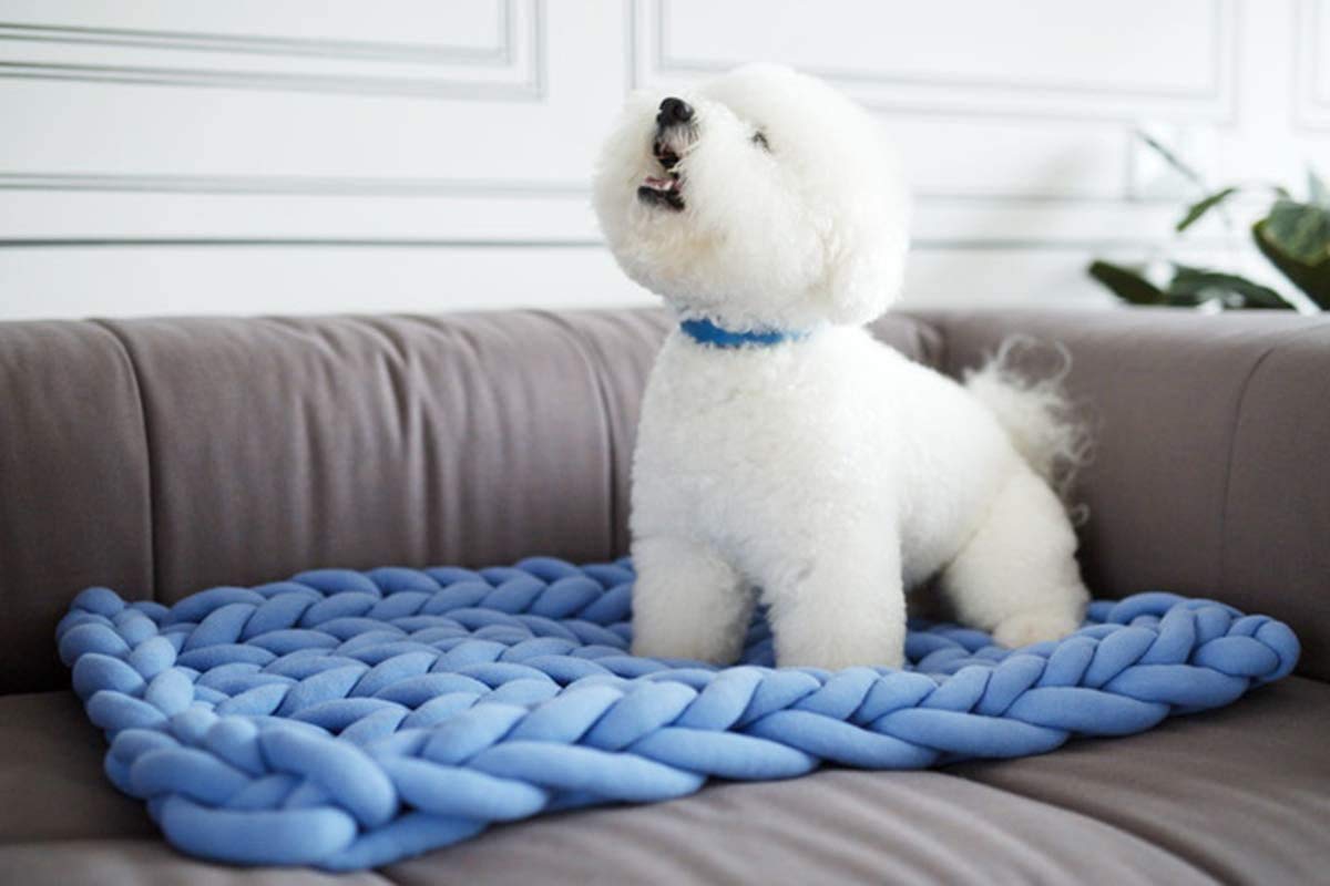 clootess Arm Knitting Yarn Chunky Braid Cotton Yarn for Handmade DIY Throw Blanket Pet Bed,Machine Washable,Blue 3 lbs